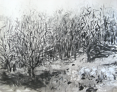 2007-11 – Tim Allen