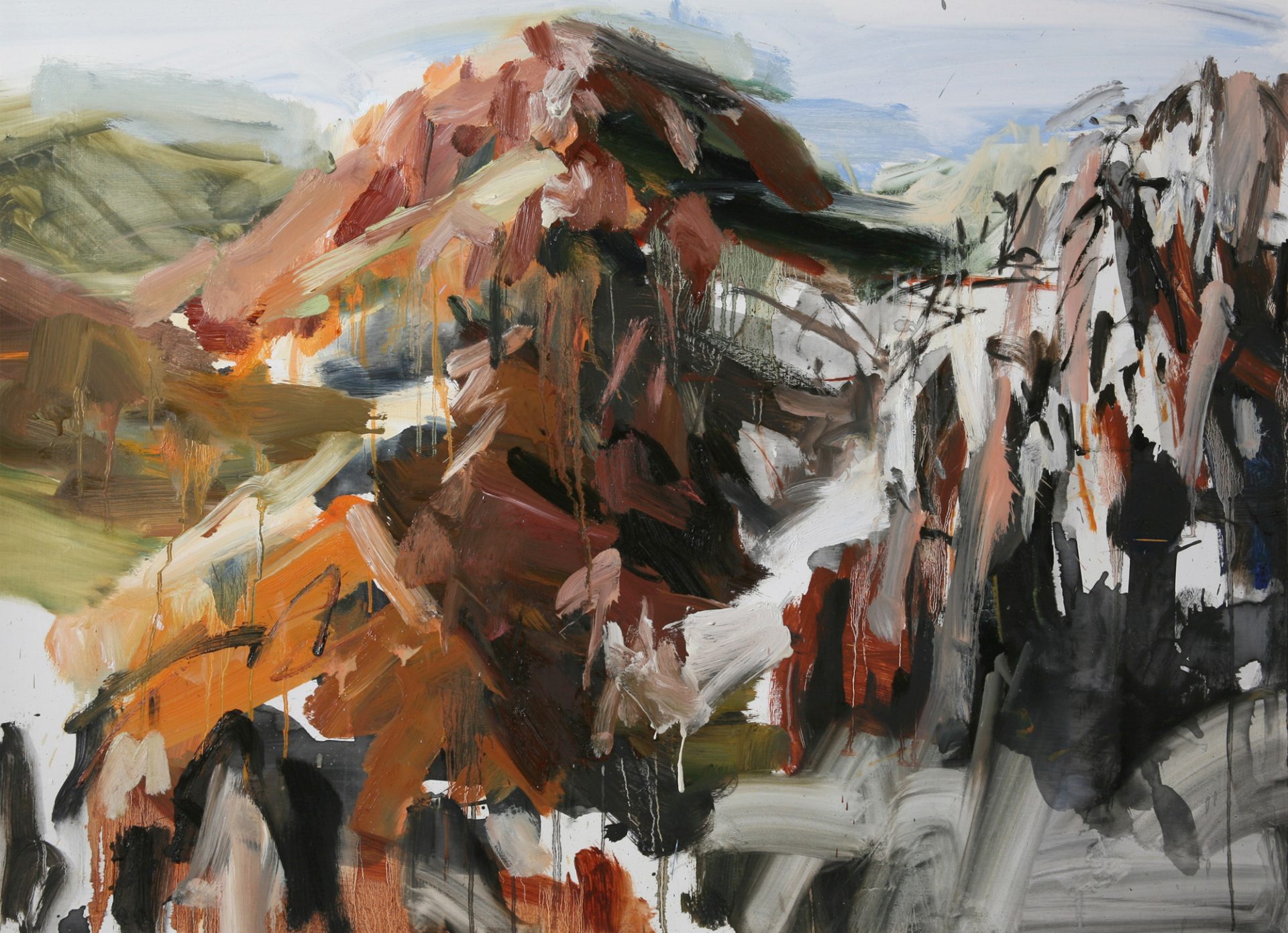 2007-11 – Tim Allen