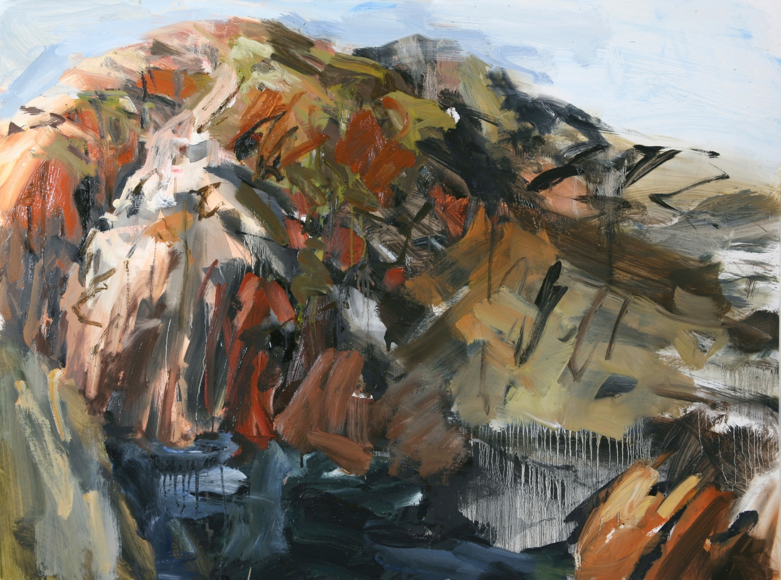 2007-11 – Tim Allen